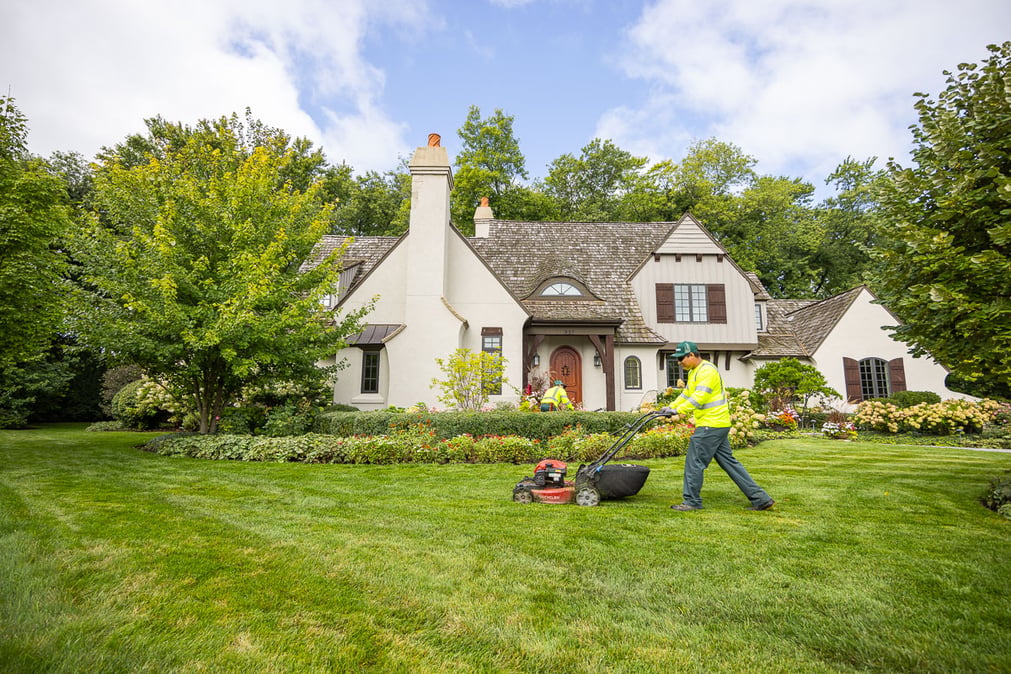 Lawn Care Tips